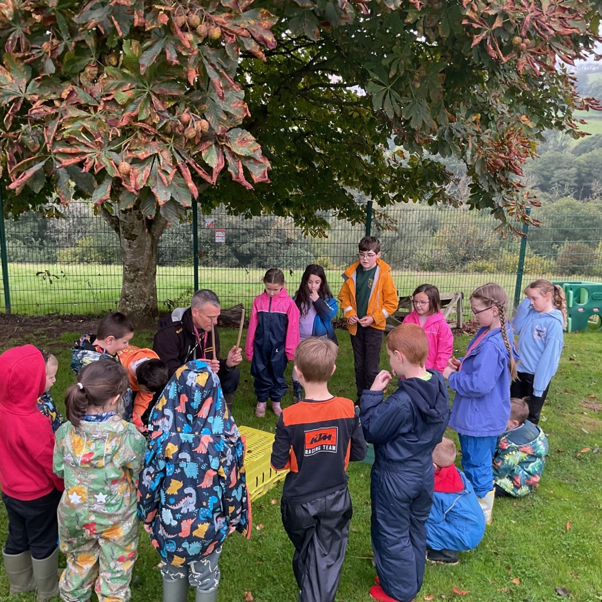 Trewidland Primary and Pre-School - Wild Tribe